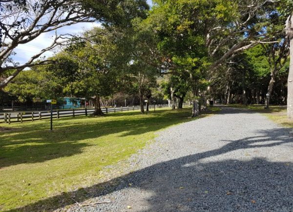 Camping & Caravan Sites - Tiona Holiday Park