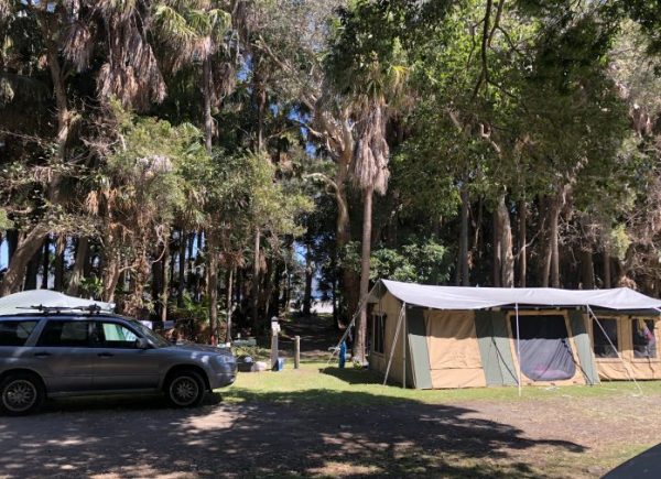 Camping & Caravan Sites - Tiona Holiday Park