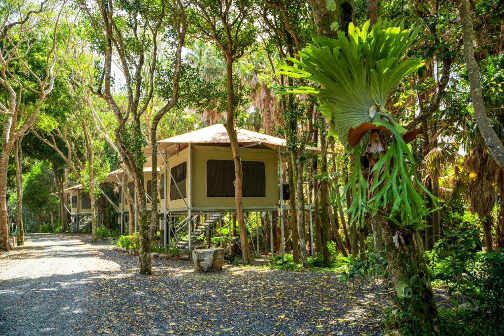 Glamping - Tiona Holiday Park