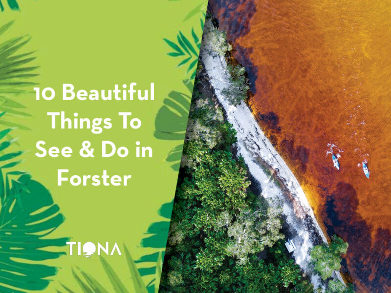 Top 10 Beautiful Places to See and Explore in Forster (NSW) - Tiona ...