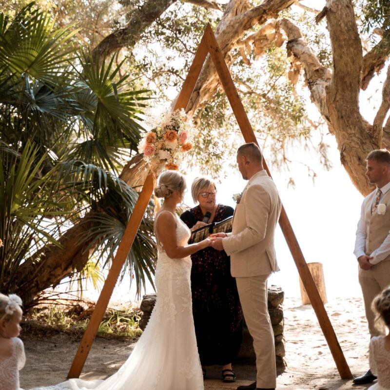 Why you should visit the Green Cathedral - Tiona Holiday Park