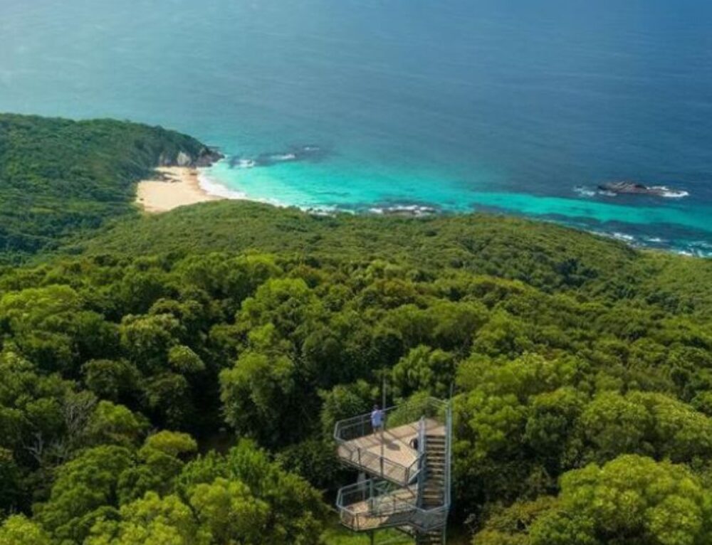 Top 10 Beautiful Places to See and Explore in Forster (NSW) - Tiona ...