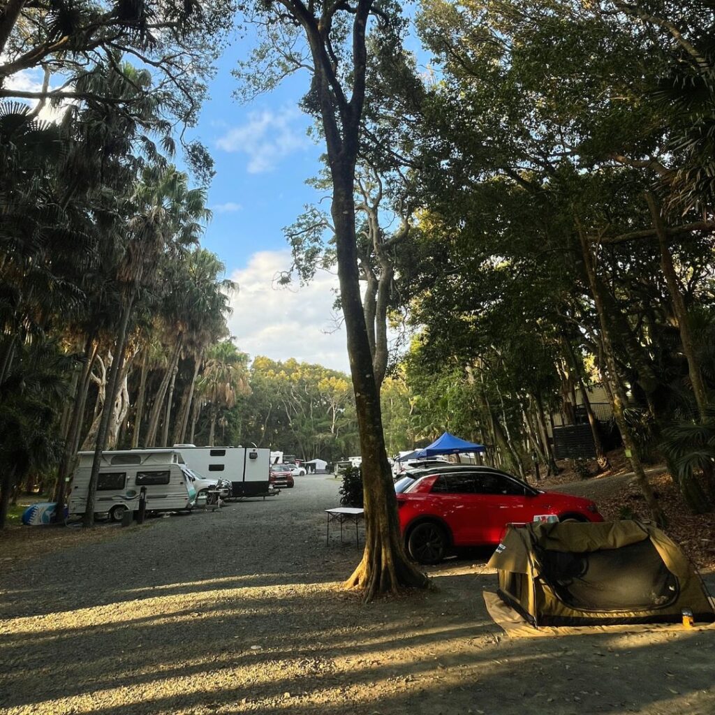 Camping & Caravan Sites - Tiona Holiday Park